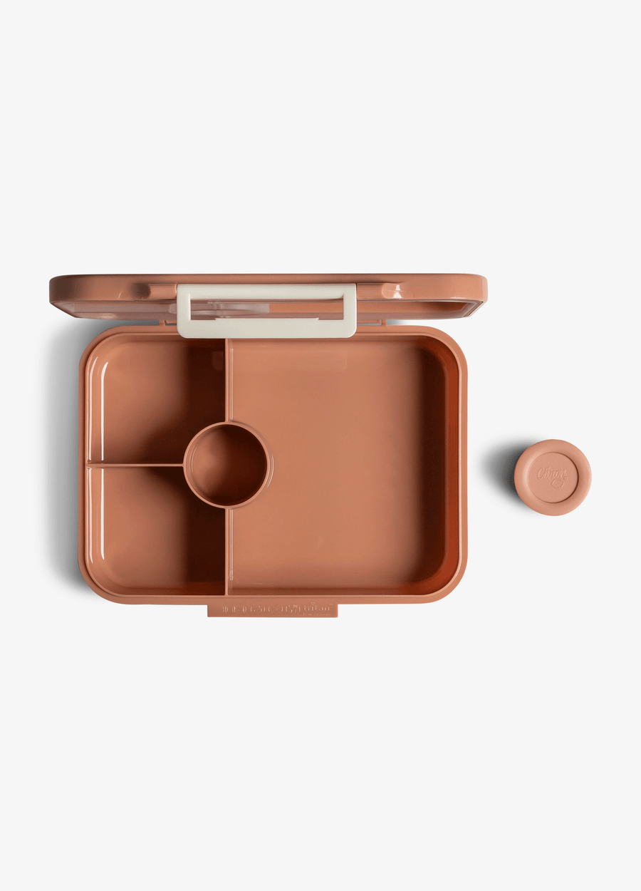 Best Office Lunch Box | Insulated Lunch Boxes That Keep Food Warm – Citron