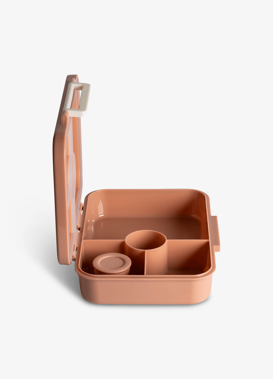 Best Office Lunch Box | Insulated Lunch Boxes That Keep Food Warm – Citron